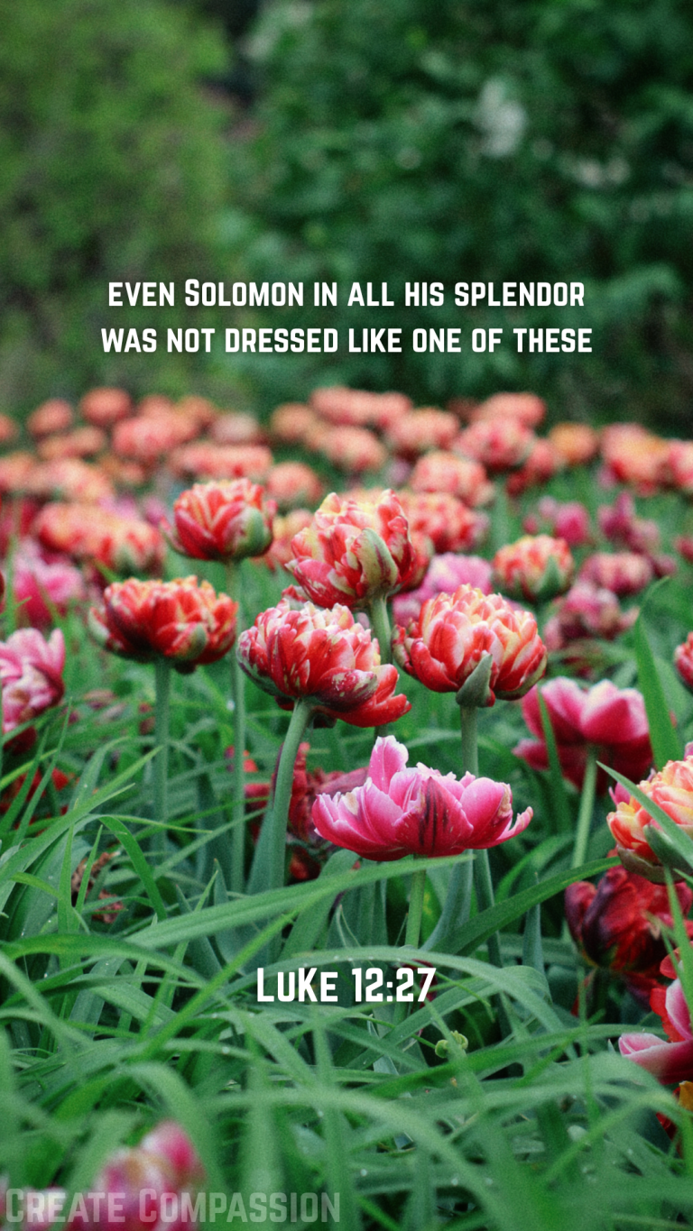 7 FREE Phone Wallpapers that are PERFECT for Spring and Summer – Create ...